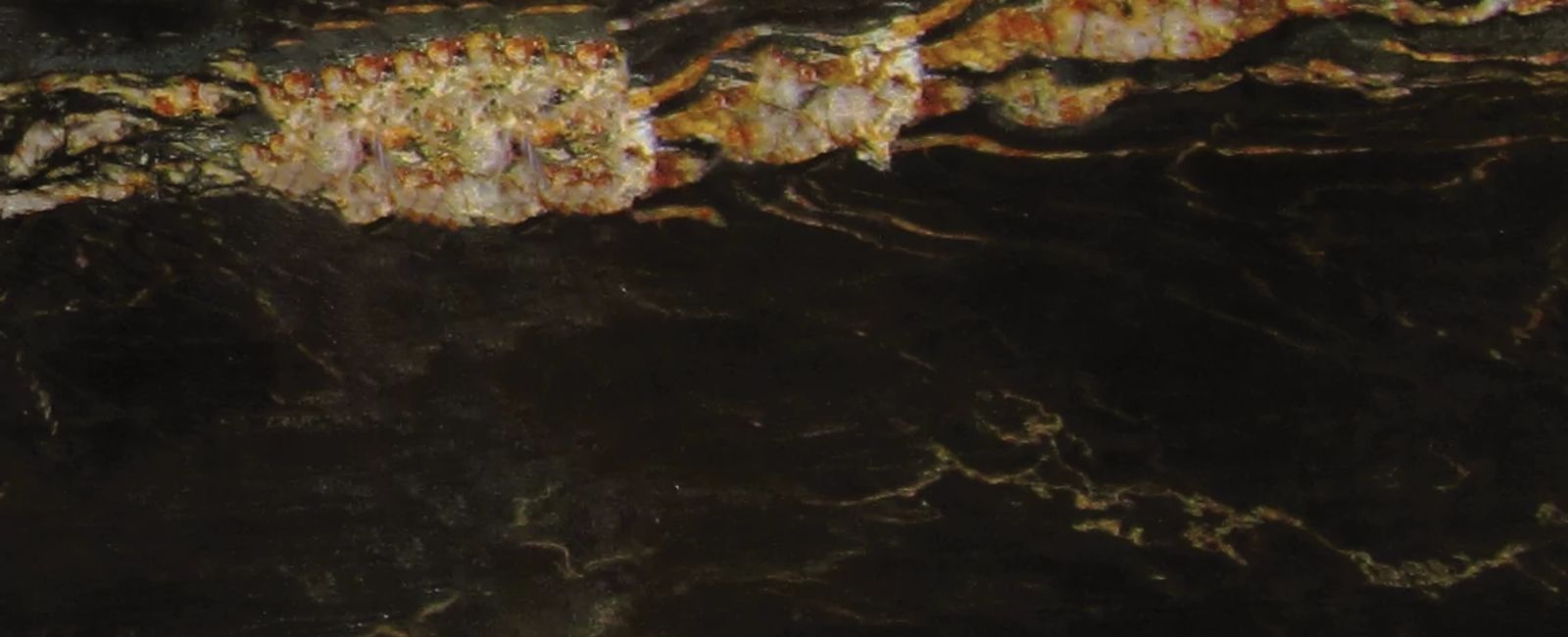 Titanium - AZ Royal Granite